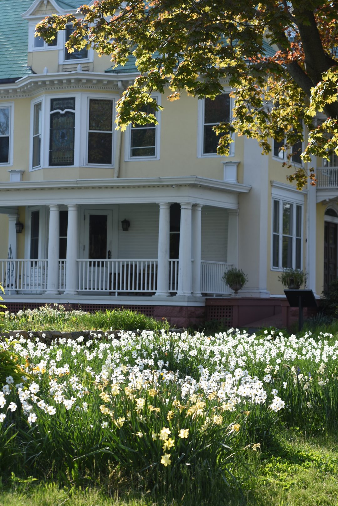 And the Beat Goes On – Colorblends House and Spring Garden